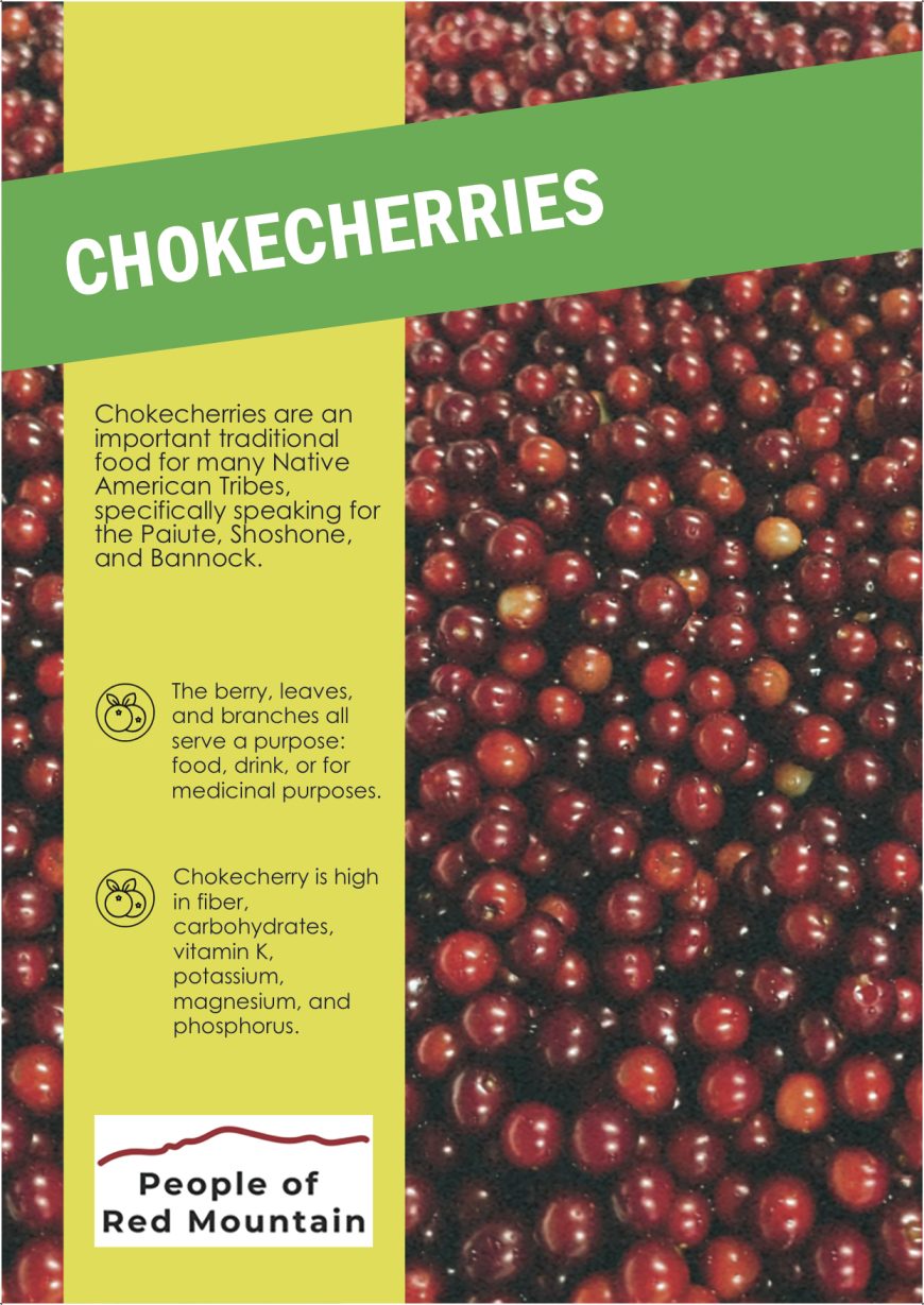 CHOKECHERRIES! – People of Red Mountain