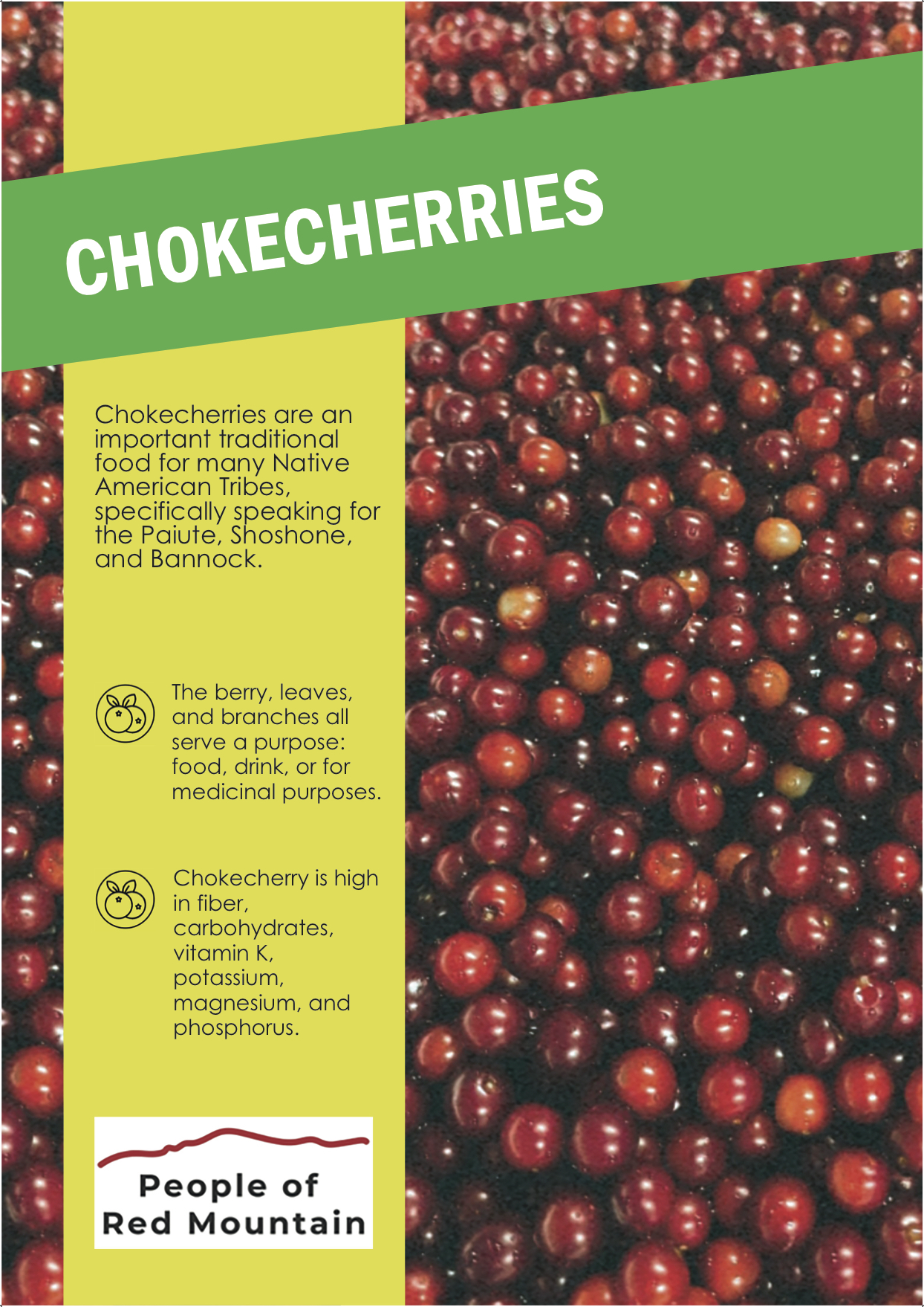 CHOKECHERRIES! – People of Red Mountain
